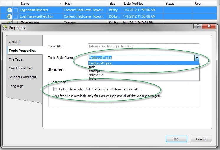 Using Flare to Build Field-Level Context-Sensitive Help
